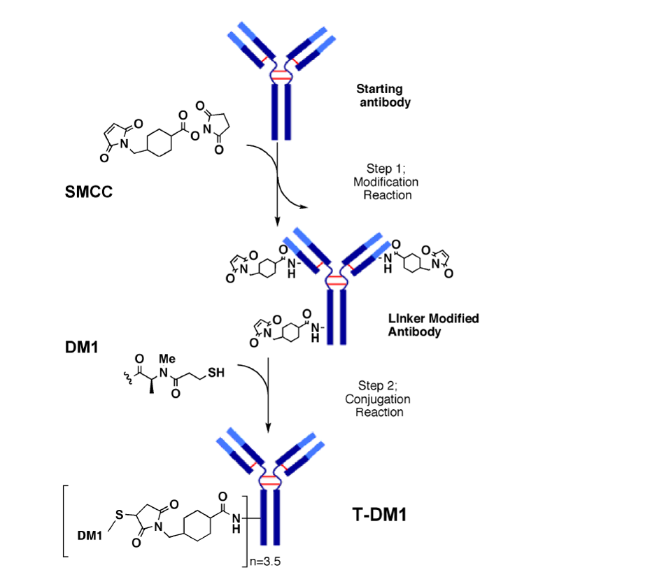 曜享干货 | ADC药物质量研究系列（一）MS-DAR值分析平台方法加速ADC药物工艺开发进程医药新闻-ByDrug-一站式医药资源共享中心-医药魔方
