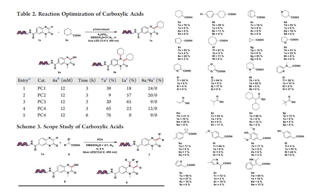 新突破！DNA相容的可见光催化反应研究取得进展医药新闻-ByDrug-一站式医药资源共享中心-医药魔方
