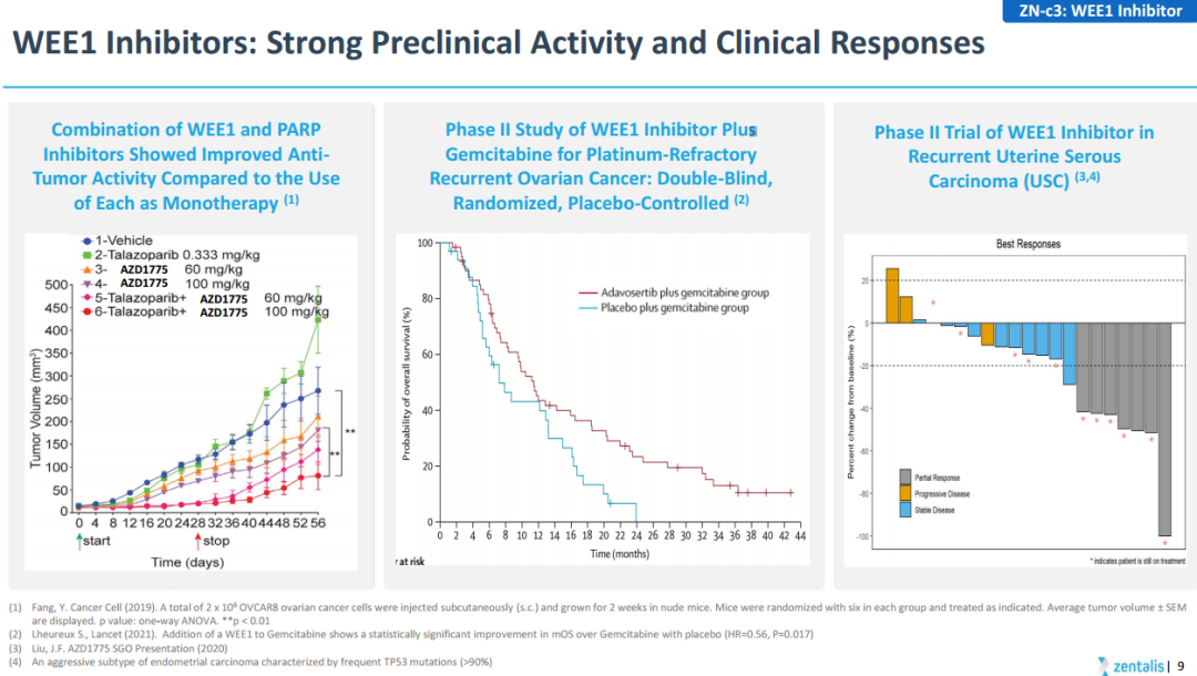 first-in-class口服WEE1抑制剂获FDA快速通道资格医药新闻-ByDrug-一站式医药资源共享中心-医药魔方