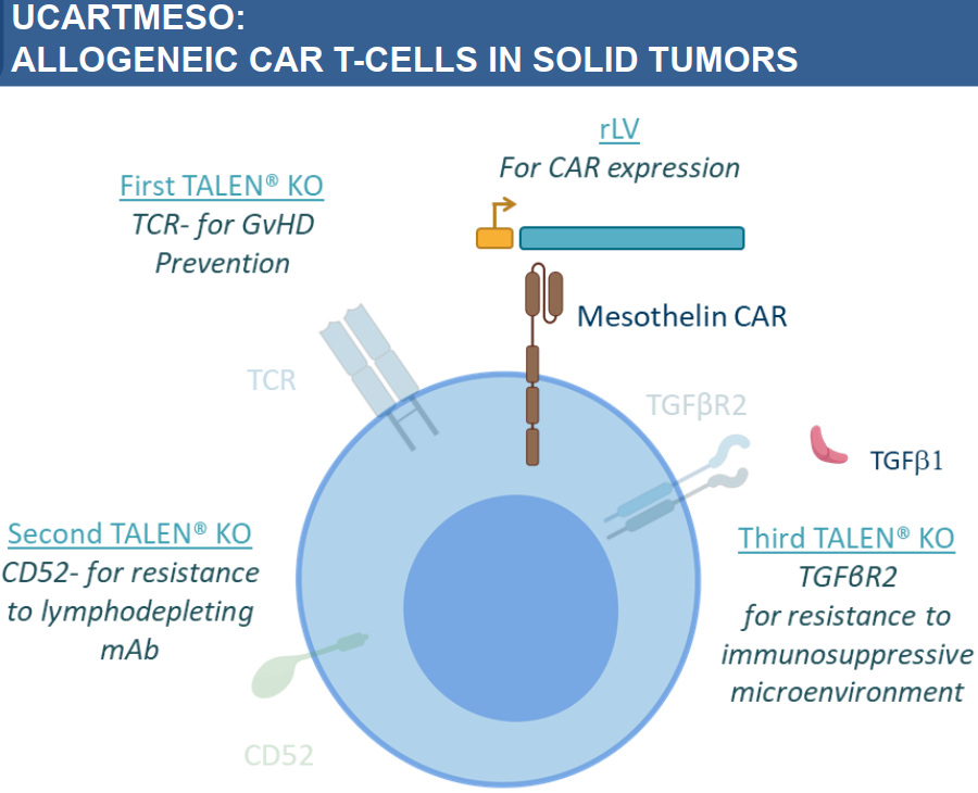Cellectis又一款现货型CAR-T公布，治疗实体瘤首个临床前数据积极医药新闻-ByDrug-一站式医药资源共享中心-医药魔方