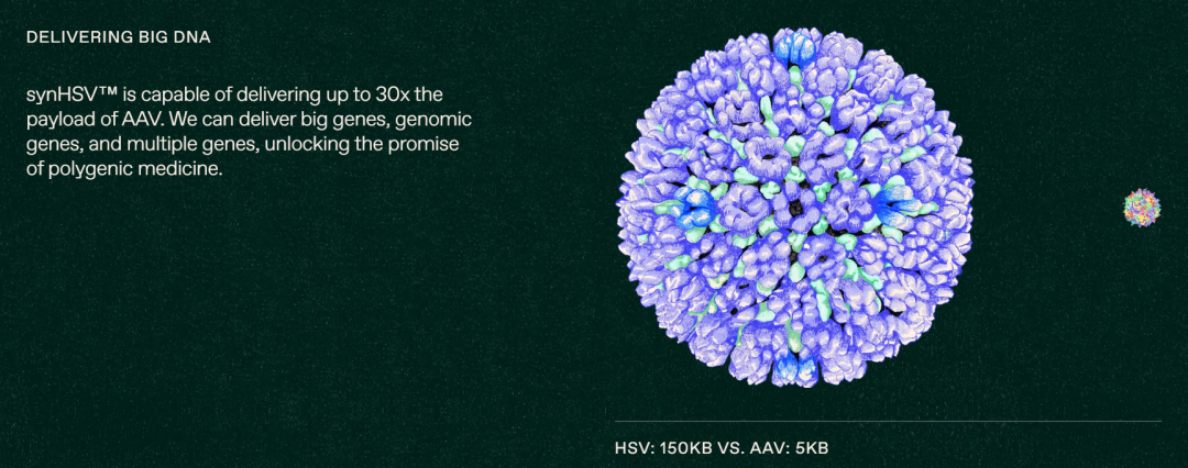 新锐！5500万美元种子轮融资，重新编程生物学开发下一代基因治疗医药新闻-ByDrug-一站式医药资源共享中心-医药魔方