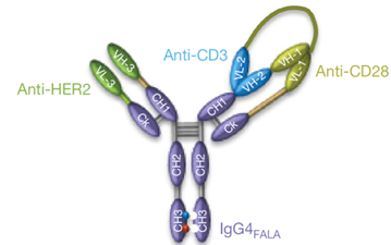 临床阶段HER2双/多特异性抗体梳理医药新闻-ByDrug-一站式医药资源共享中心-医药魔方