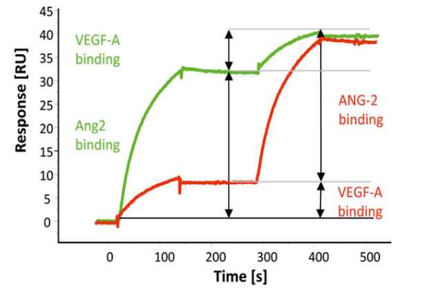 年度盘点：2022年Biacore助力在FDA获批的抗体药们医药新闻-ByDrug-一站式医药资源共享中心-医药魔方