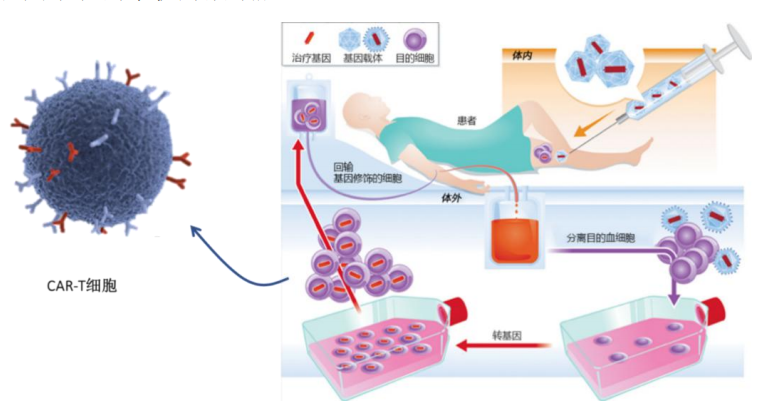 120万一针抗癌神药可用于实体肿瘤吗？肠癌不开刀也能治愈？医药新闻-ByDrug-一站式医药资源共享中心-医药魔方