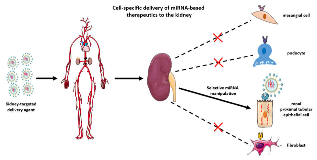 miRNA最新研究进展盘点（20211119）医药新闻-ByDrug-一站式医药资源共享中心-医药魔方
