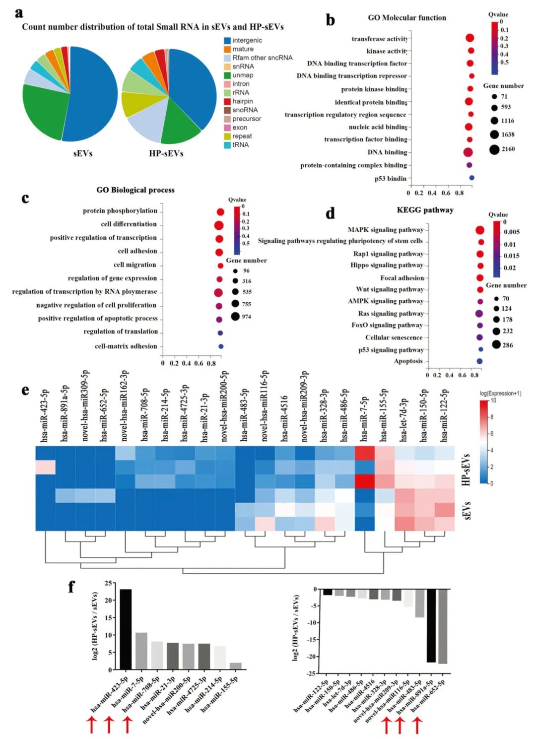 Adv Sci丨HP-sEVs通过激活Mir-7-5p/NF-Κb/Cxcl2轴促进椎间盘再生医药新闻-ByDrug-一站式医药资源共享中心-医药魔方