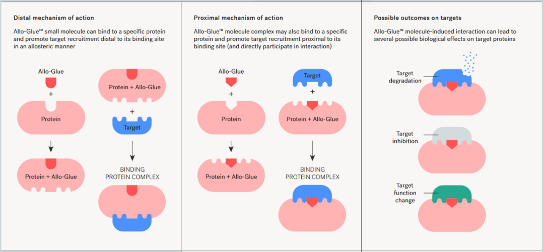 超20亿美元！罗氏“押注”分子胶医药新闻-ByDrug-一站式医药资源共享中心-医药魔方