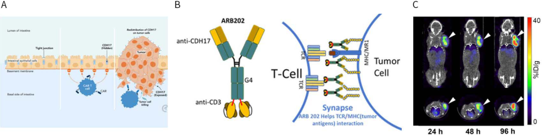 三优质品｜CDH17-下一个超越CLDN18.2的消化道肿瘤靶点？医药新闻-ByDrug-一站式医药资源共享中心-医药魔方