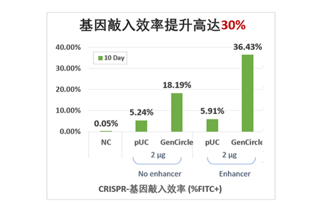 GenCircle dsDNA演绎极简美学！金斯瑞GCT试剂原料管线再添王牌医药新闻-ByDrug-一站式医药资源共享中心-医药魔方