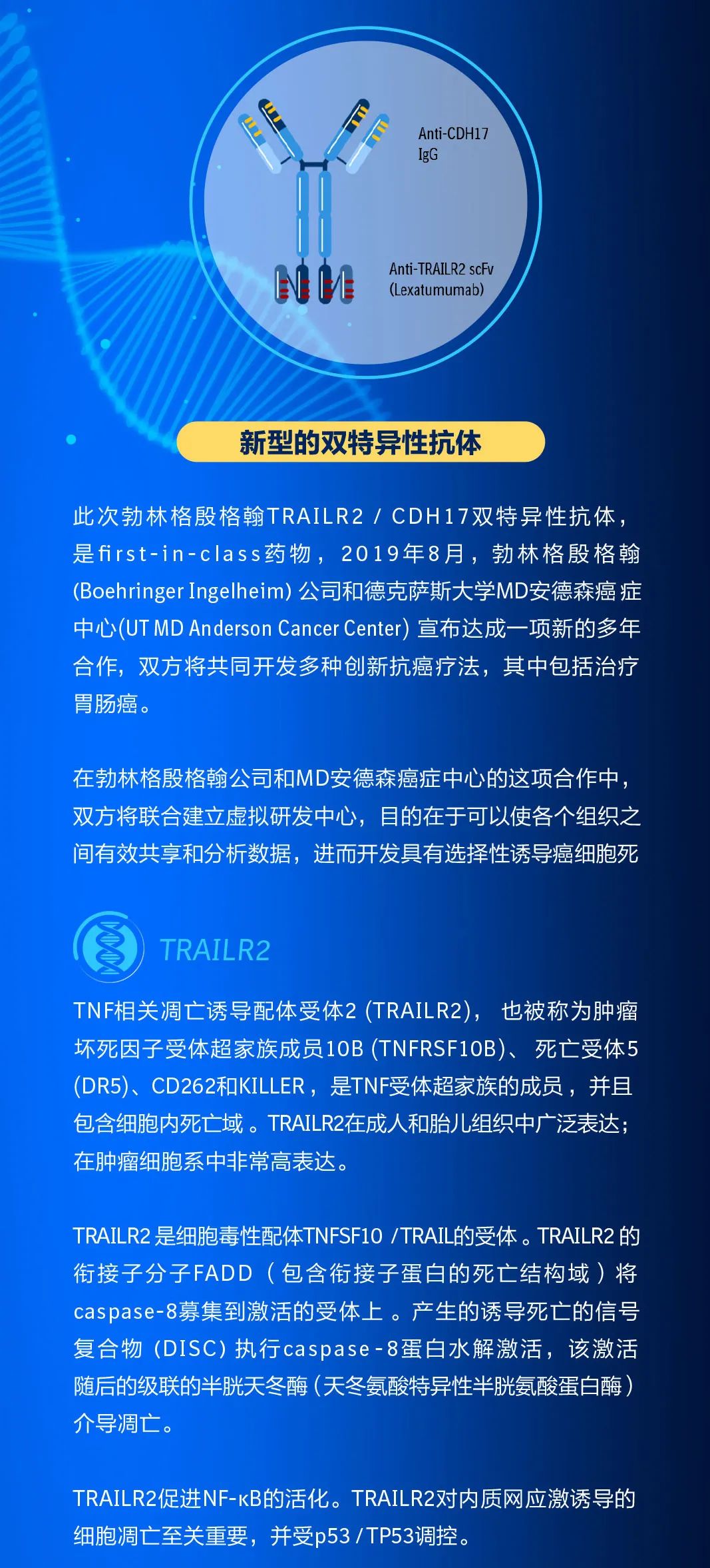百话肿瘤：TRAILR2/CDH17基因的作用与治癌机制医药新闻-ByDrug-一站式医药资源共享中心-医药魔方