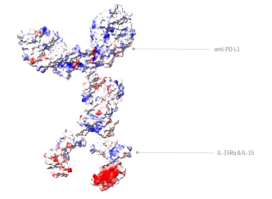 先声再明自研PD-L1/IL-15双抗获批新IND医药新闻-ByDrug-一站式医药资源共享中心-医药魔方