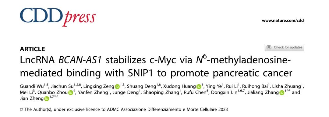Nature子刊丨LncRNA BCAN-AS1通过m6A介导的与SNIP1结合来稳定c-Myc从而促进胰腺癌医药新闻-ByDrug-一站式 ...