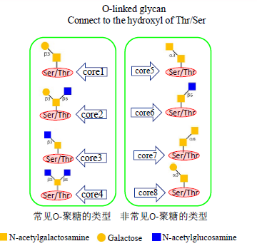 CMC浅谈 | 抗体药物的糖基化分析医药新闻-ByDrug-一站式医药资源共享中心-医药魔方