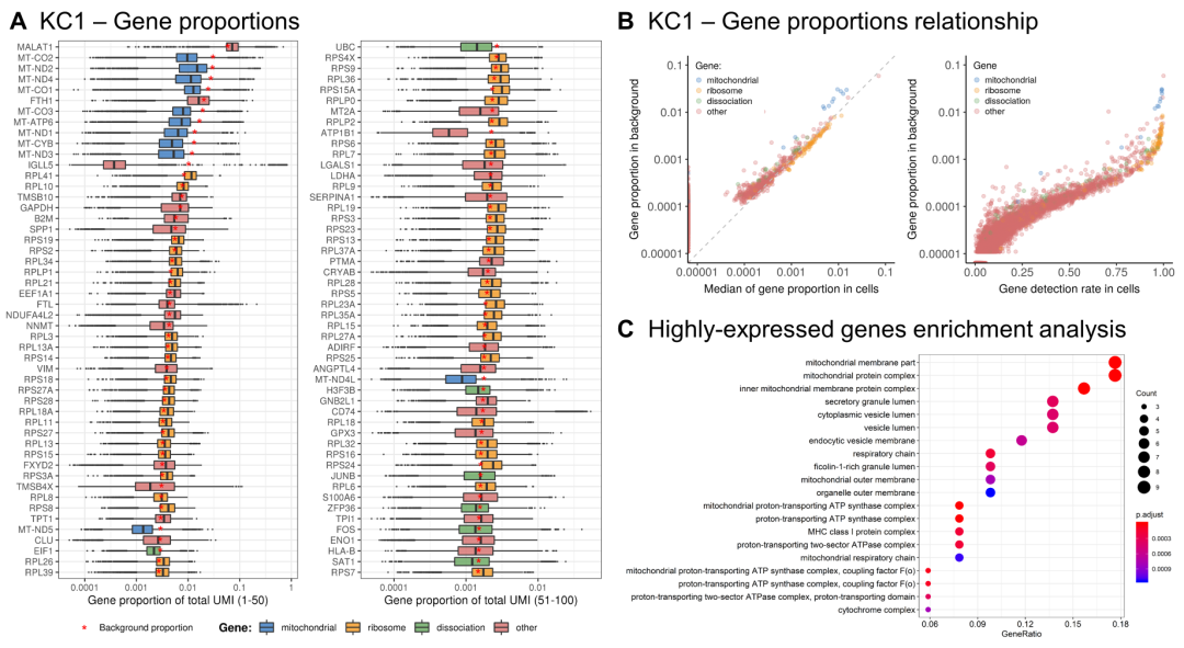 scCancer: 一个自动化分析处理单细胞RNA测序癌症数据的R安装包医药新闻-ByDrug-一站式医药资源共享中心-医药魔方