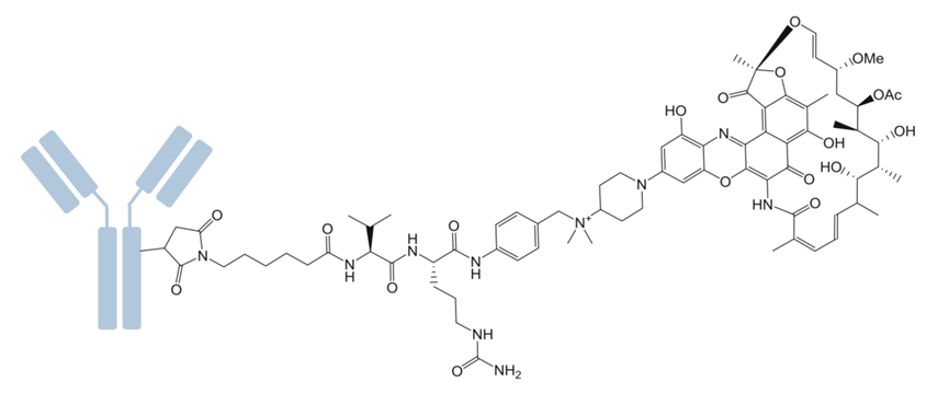 ADCs Beyond Oncology：ADC在非抗肿瘤领域中的研究进展医药新闻-ByDrug-一站式医药资源共享中心-医药魔方