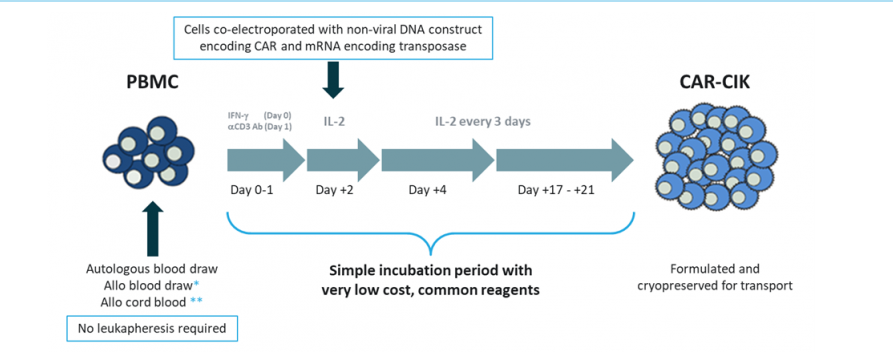 持久安全！新型“同种异体”CAR-CIK细胞疗法公布临床积极数据医药新闻-ByDrug-一站式医药资源共享中心-医药魔方