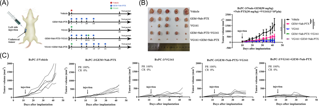 中生复诺健四免疫因子溶瘤病毒产品IND获得受理医药新闻-ByDrug-一站式医药资源共享中心-医药魔方