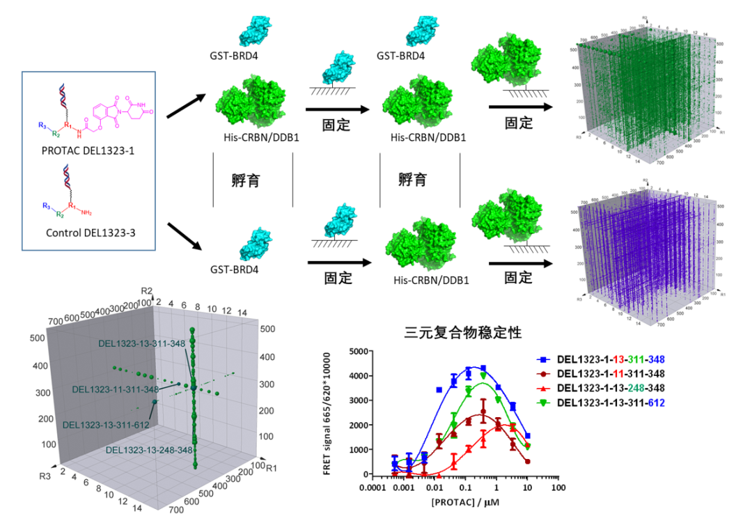 DEL for蛋白降解剂开发医药新闻-ByDrug-一站式医药资源共享中心-医药魔方