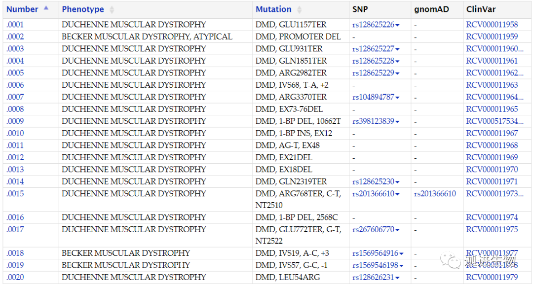 上篇丨杜氏肌营养不良（DMD），从病因到治疗医药新闻-ByDrug-一站式医药资源共享中心-医药魔方