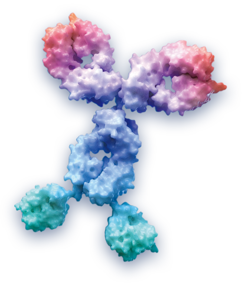 张力教授团队PD-1/VEGF双抗（AK112）治疗肺癌最新临床研究结果在《柳叶刀》子刊发布医药新闻-ByDrug-一站式医药资源共享中心-医药魔方