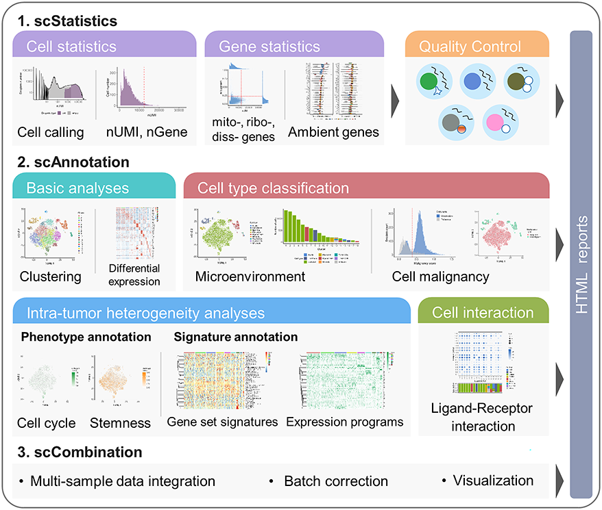 scCancer: 一个自动化分析处理单细胞RNA测序癌症数据的R安装包医药新闻-ByDrug-一站式医药资源共享中心-医药魔方