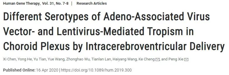 Hum Gene Ther |一决高下！AAVs和LV病毒载体脑室注射感染效率比较医药新闻-ByDrug-一站式医药资源共享中心-医药魔方