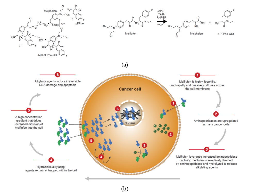 生物分析专栏 | PDC药物的药代动力学和生物分析医药新闻-ByDrug-一站式医药资源共享中心-医药魔方