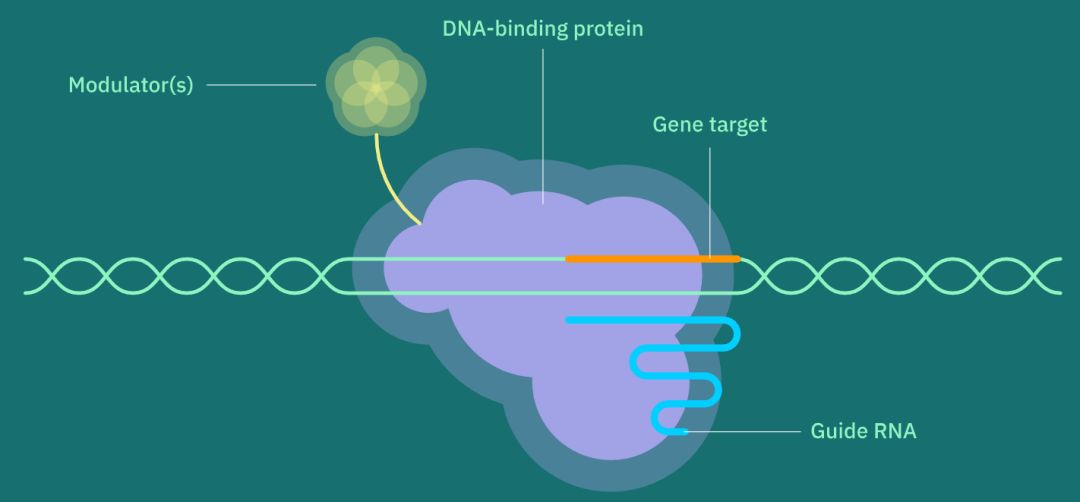 新锐！亓磊教授创立Epic Bio获5500万美元融资，开发表观遗传基因药物医药新闻-ByDrug-一站式医药资源共享中心-医药魔方