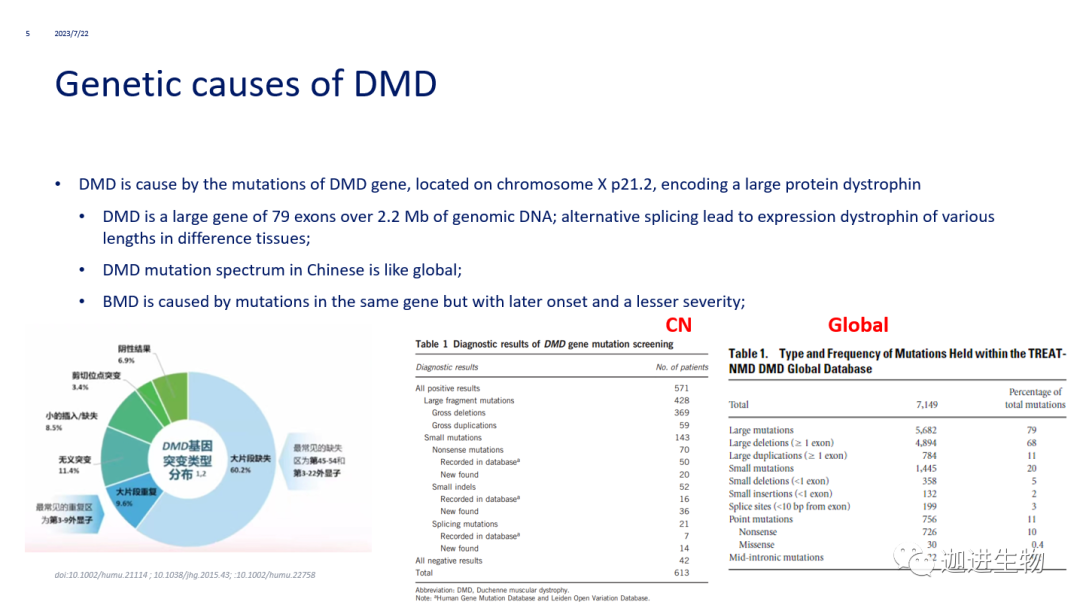 上篇丨杜氏肌营养不良（DMD），从病因到治疗医药新闻-ByDrug-一站式医药资源共享中心-医药魔方