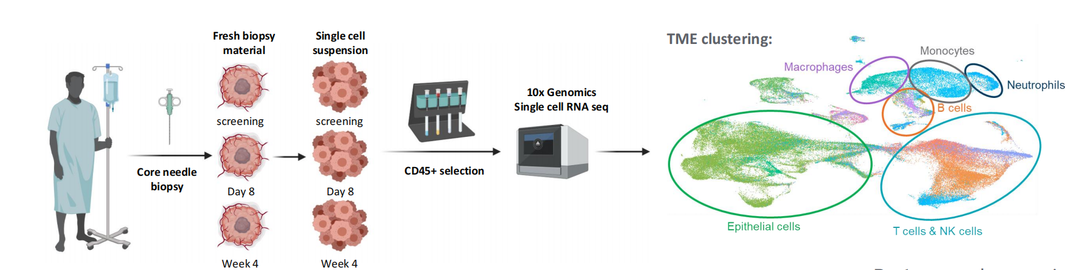 CAR- M一期临床结果显示积极安全性及部分缓解医药新闻-ByDrug-一站式医药资源共享中心-医药魔方