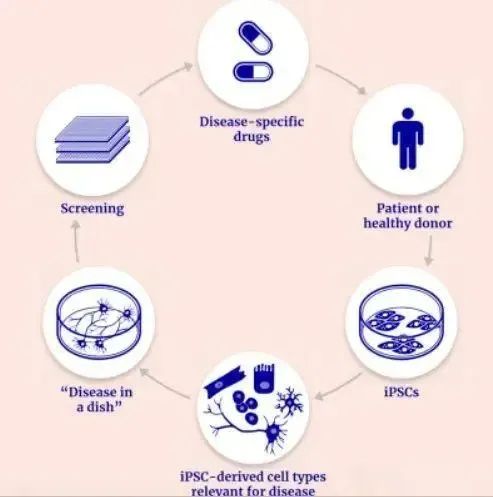 行业动态 | BMS与Evotec扩大战略合作，iPSC药物筛选平台开发神经退行性疾病创新疗法医药新闻-ByDrug-一站式医药资源共享中心-医药魔方