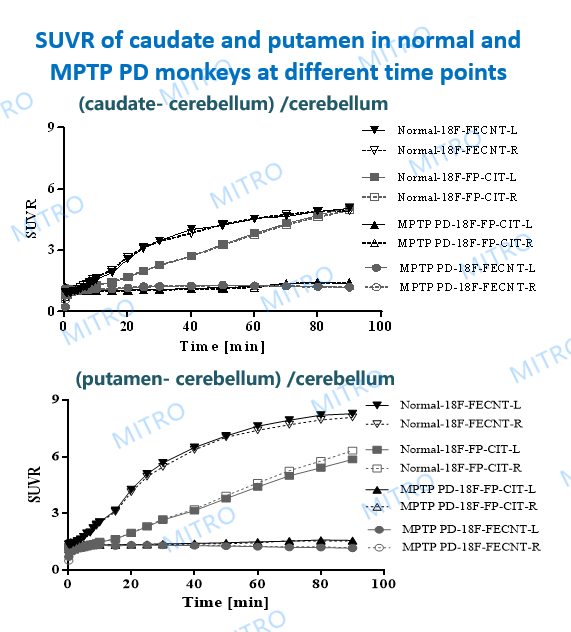 放射性同位素标记及PET技术在帕金森疾病研究中的应用（二）医药新闻-ByDrug-一站式医药资源共享中心-医药魔方