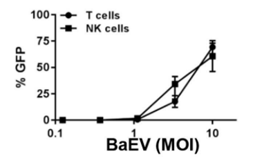 一种新型慢病毒载体------狒狒逆转录病毒包膜糖蛋白假型慢病毒（BaEV-LVs）医药新闻-ByDrug-一站式医药资源共享中心-医药魔方