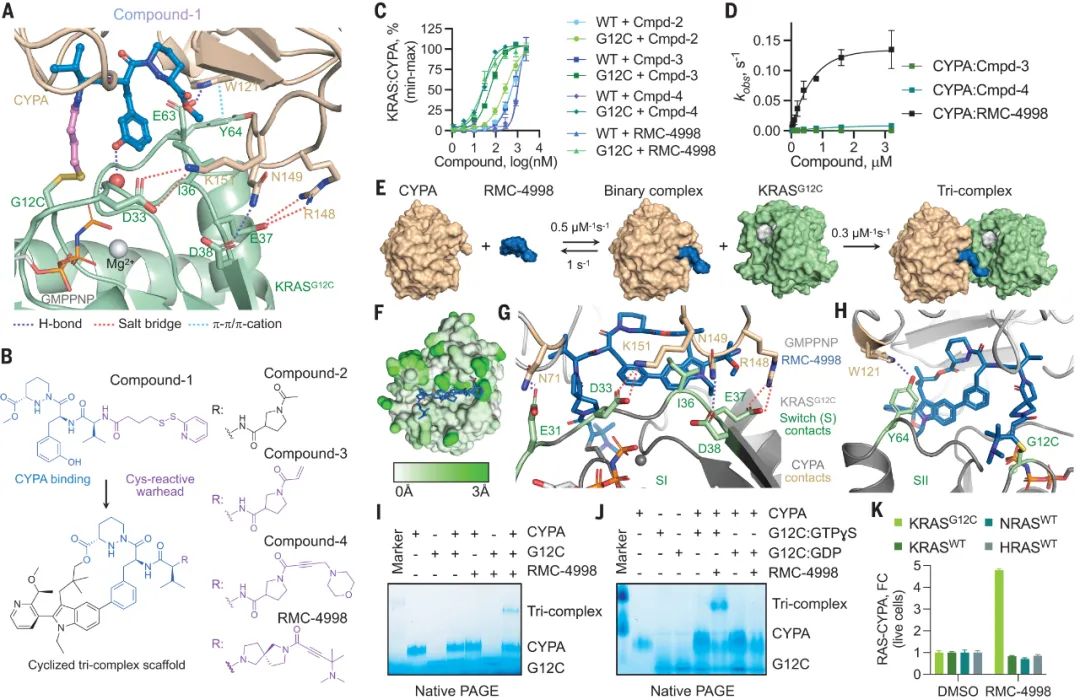 Science：挑战KRAS，分子胶来了！医药新闻-ByDrug-一站式医药资源共享中心-医药魔方