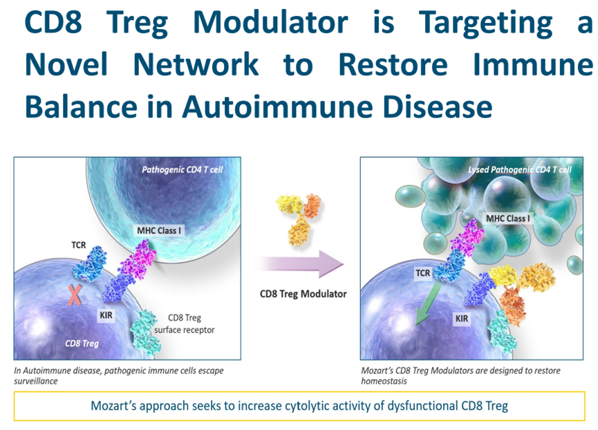 新锐！8000万美元融资，开发CD8 Treg调节剂医药新闻-ByDrug-一站式医药资源共享中心-医药魔方