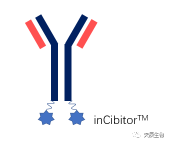 天辰生物全球首创补体新药 LP-005 IND 获 CDE 受理！医药新闻-ByDrug-一站式医药资源共享中心-医药魔方