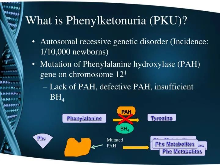 辉瑞6000万美元押注Homology，推进PKU基因治疗医药新闻-ByDrug-一站式医药资源共享中心-医药魔方