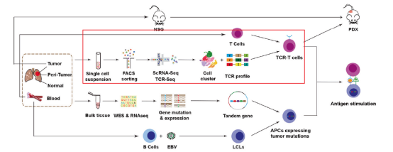 一文讲清！免疫组测序技术研究：RNA VS DNA？多重PCR VS 5'RACE？医药新闻-ByDrug-一站式医药资源共享中心-医药魔方