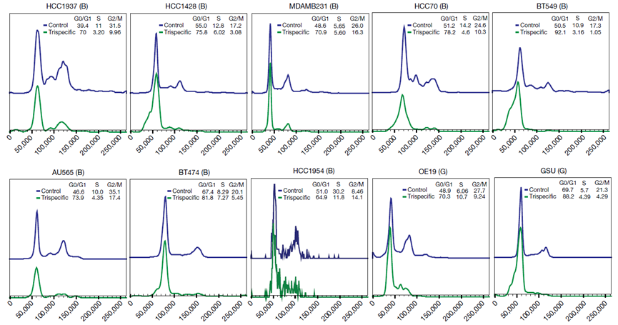 临床阶段HER2双/多特异性抗体梳理医药新闻-ByDrug-一站式医药资源共享中心-医药魔方