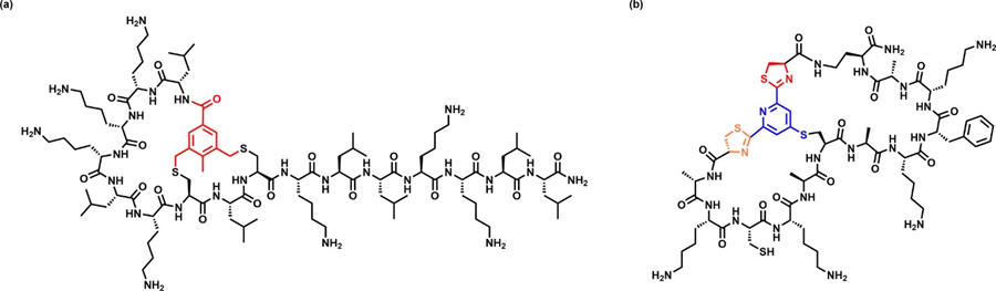 行业研究 | 双环肽Bicyclic Peptides: 肽类药物治疗的新前沿医药新闻-ByDrug-一站式医药资源共享中心-医药魔方