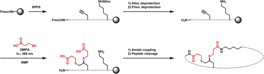 行业研究 | 双环肽Bicyclic Peptides: 肽类药物治疗的新前沿医药新闻-ByDrug-一站式医药资源共享中心-医药魔方