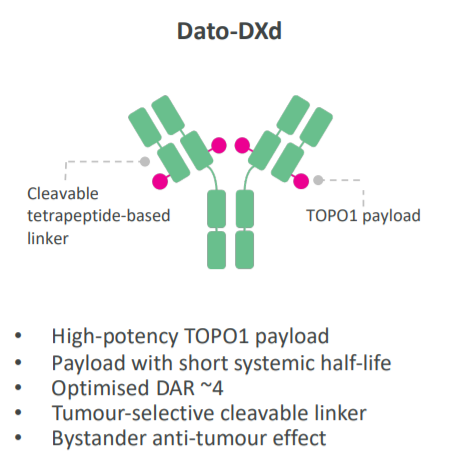 阿斯利康/第一三共TROP2 ADC首个III期研究达到PFS主要终点医药新闻-ByDrug-一站式医药资源共享中心-医药魔方