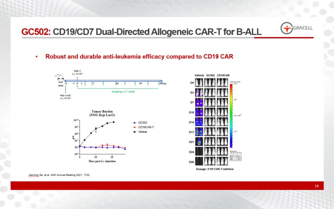 写意报告丨详解亘喜生物TruUCAR通用性CAR-T细胞平台的开发和进展医药新闻-ByDrug-一站式医药资源共享中心-医药魔方
