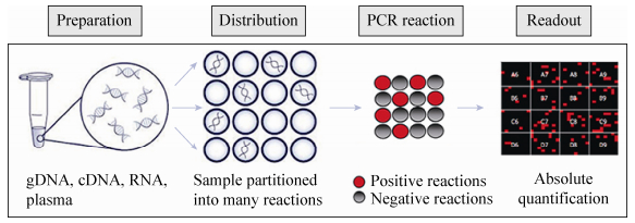 数字PCR究竟有何魔力？医药新闻-ByDrug-一站式医药资源共享中心-医药魔方