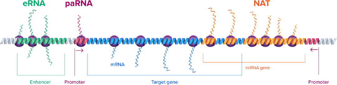 1亿美元B轮融资，推进regRNA平台和管线医药新闻-ByDrug-一站式医药资源共享中心-医药魔方