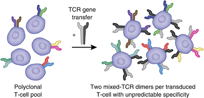 TCR-T vs CAR-T----谁更有可能攻克实体瘤医药新闻-ByDrug-一站式医药资源共享中心-医药魔方