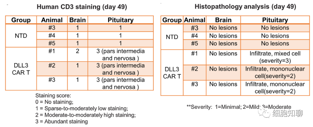 Allogene公司靶向DLL3的同种异体CAR-T细胞在小细胞肺癌动物模型中的评估医药新闻-ByDrug-一站式医药资源共享中心-医药魔方