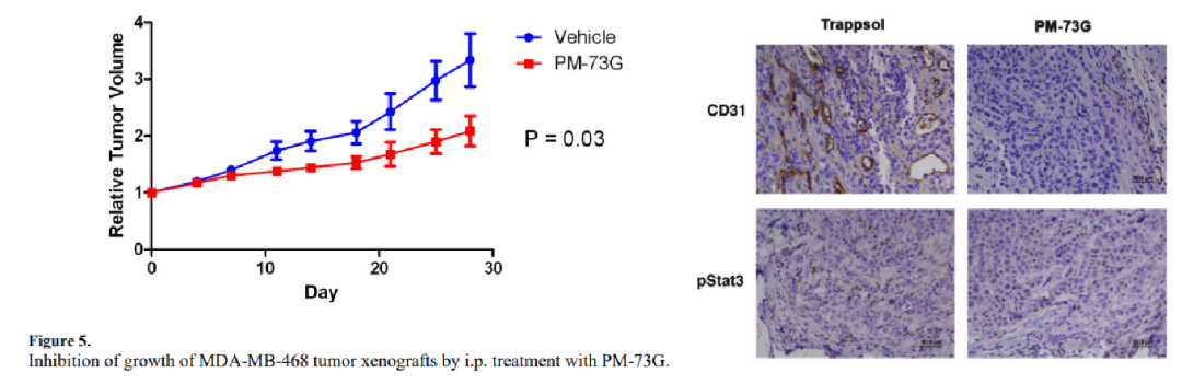 靶向难成药靶点STAT的磷酸肽类抑制剂：花开两朵，各表一枝医药新闻-ByDrug-一站式医药资源共享中心-医药魔方