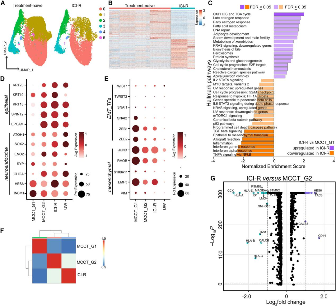 单细胞绘制默克尔细胞癌转录图谱揭示其治疗脆弱性医药新闻-ByDrug-一站式医药资源共享中心-医药魔方