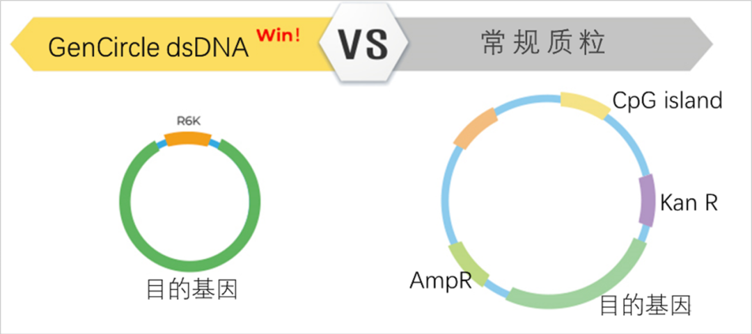GenCircle dsDNA演绎极简美学！金斯瑞GCT试剂原料管线再添王牌医药新闻-ByDrug-一站式医药资源共享中心-医药魔方